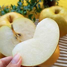 直接跟農夫買-跟農夫站在一起，守護健康！守護土地！